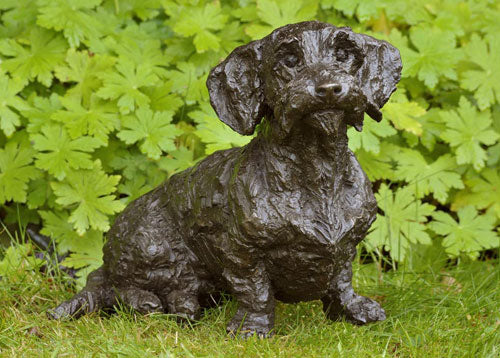 Brillo (wire haired Dachshund) – The Saffron Walden Gallery Online Shop